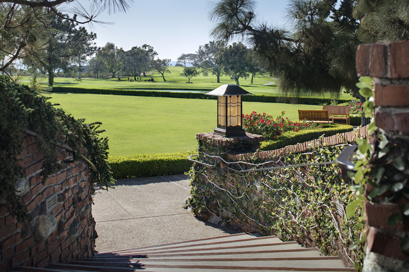 Signature Women's Apparel | Lodge Torrey Pines – The Lodge at Torrey Pines